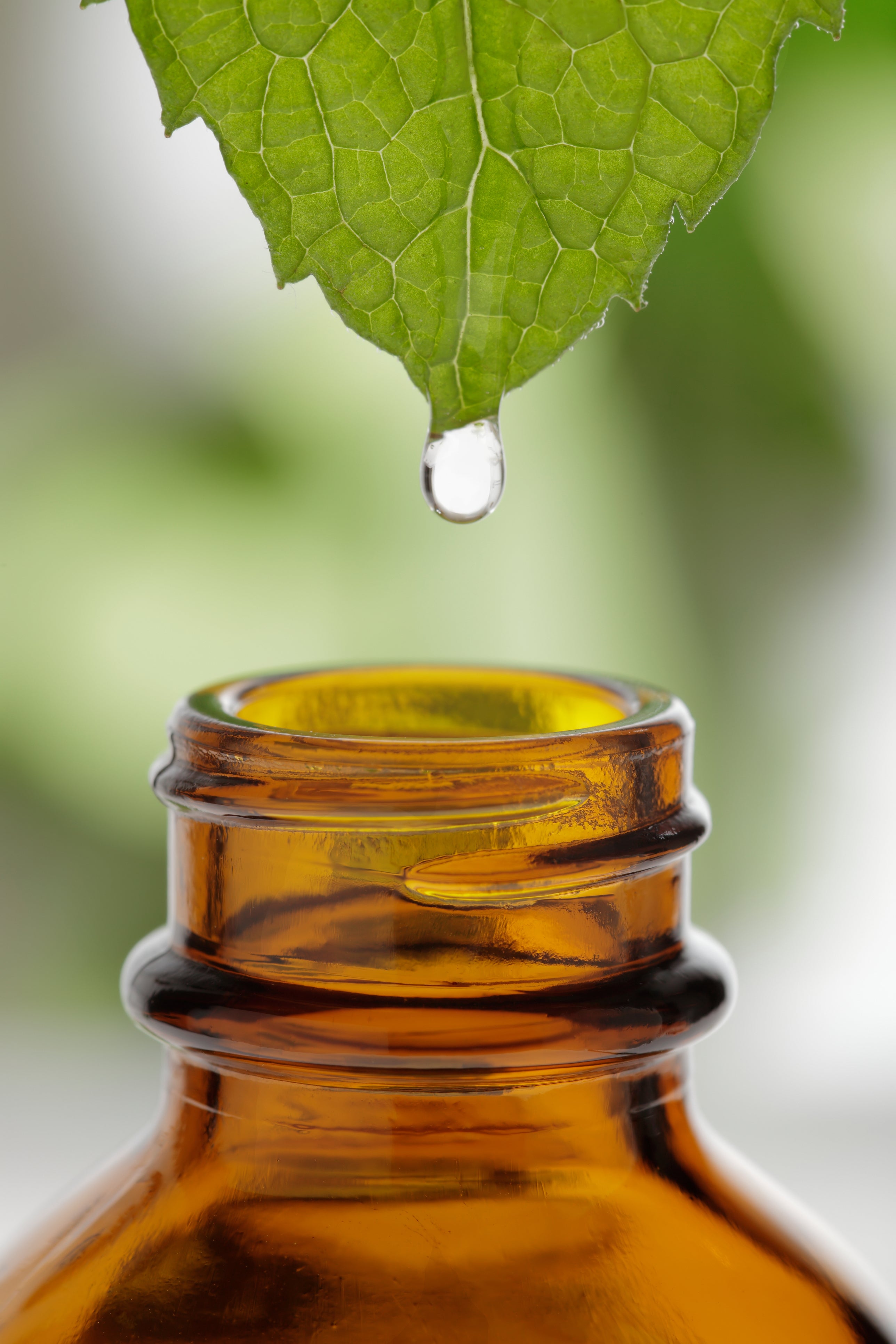 We use only the Best High quality ingredientsand essential oils ...